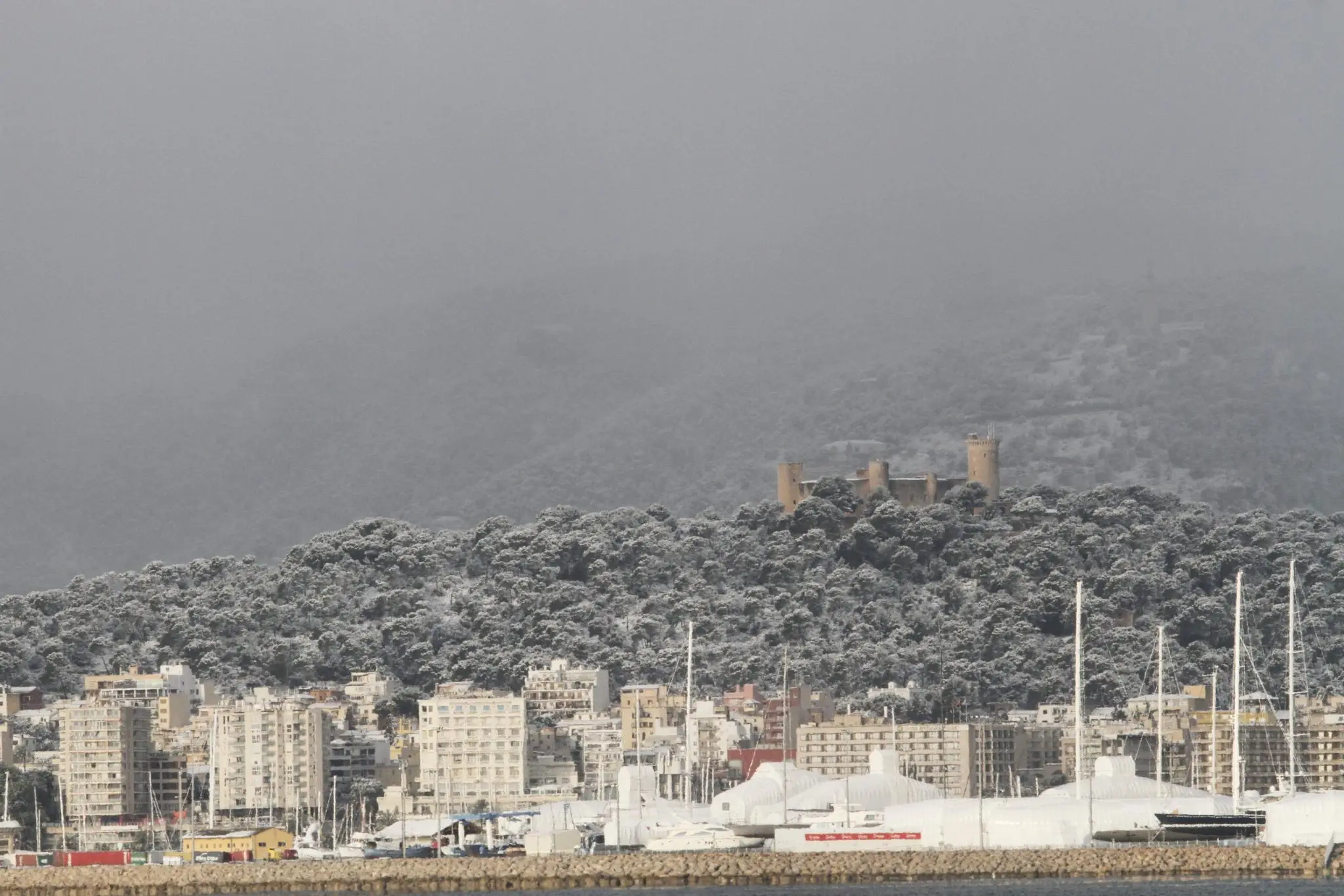 Fotogalerie: Winterzauber auf Mallorca 2012