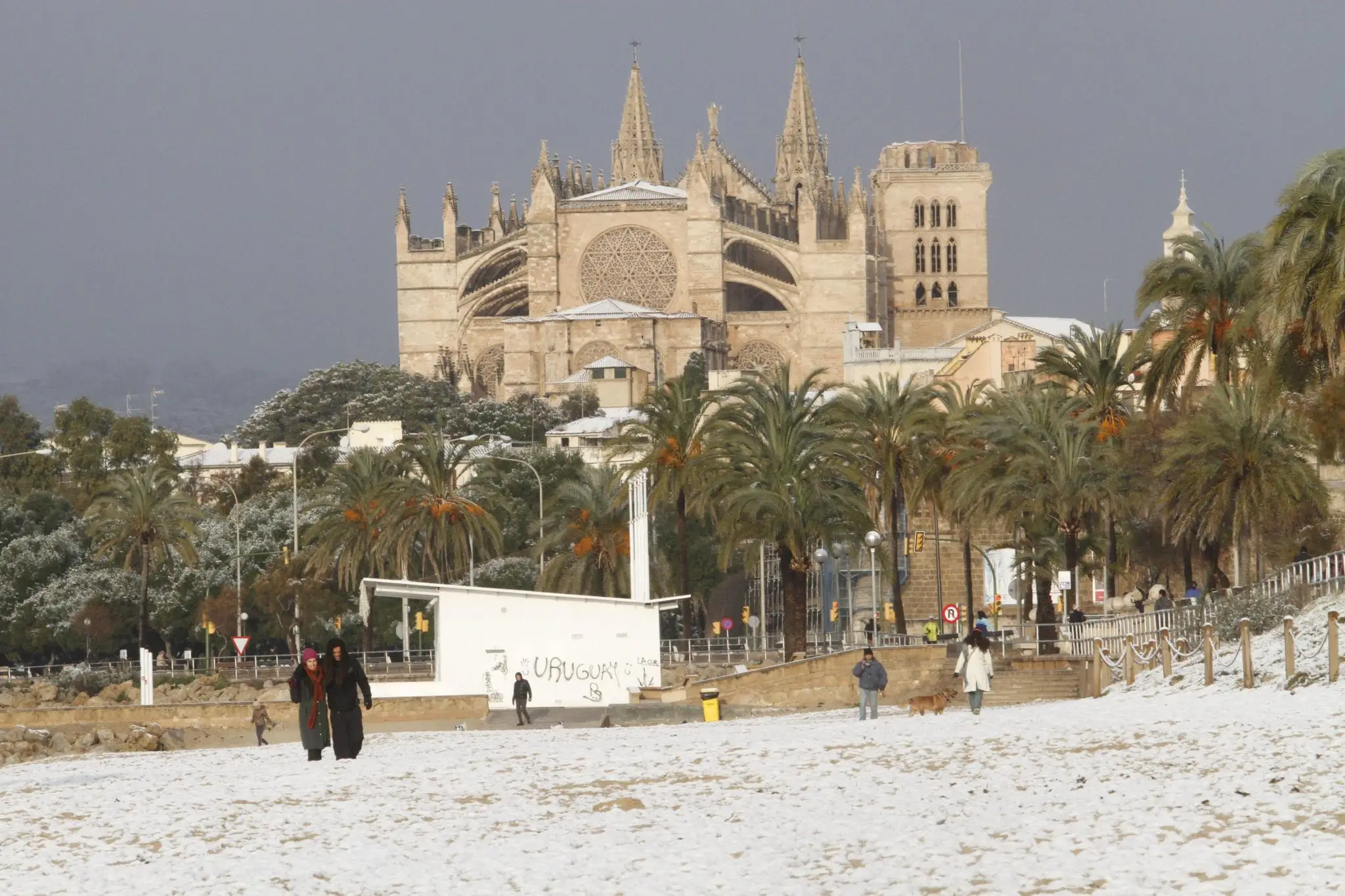 Fotogalerie: Winterzauber auf Mallorca 2012