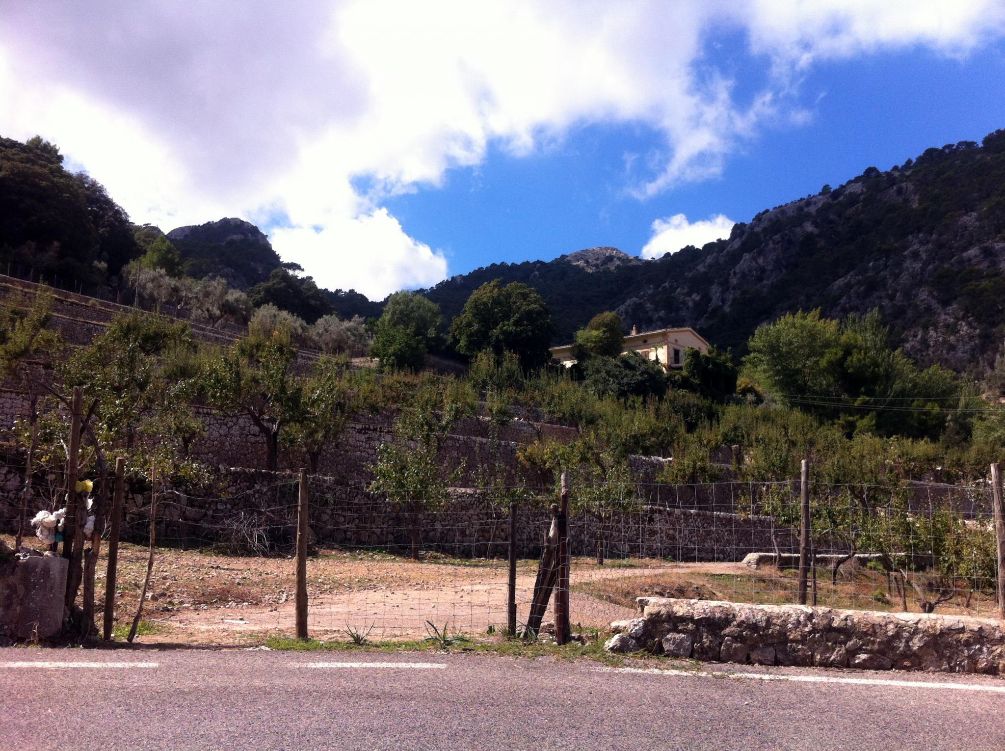 Fotogalerie: Unterwegs auf der Passstraße Coll de Sóller