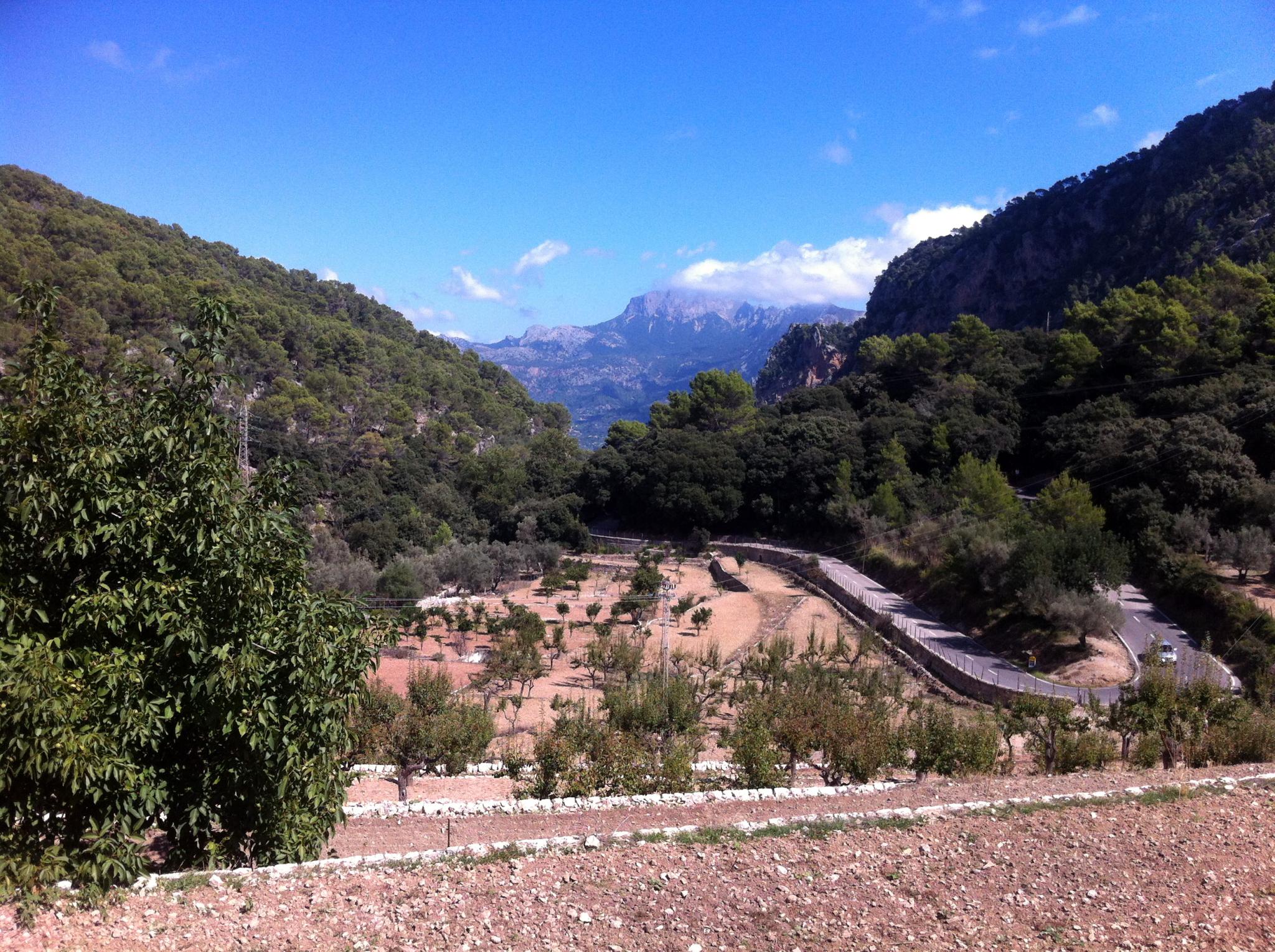 Fotogalerie: Unterwegs auf der Passstraße Coll de Sóller