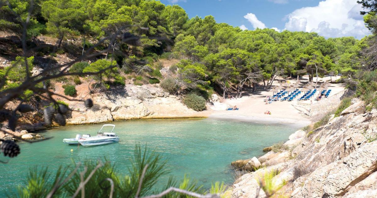 Strandtipp auf Mallorca: Die versteckt gelegene Cala Falcó