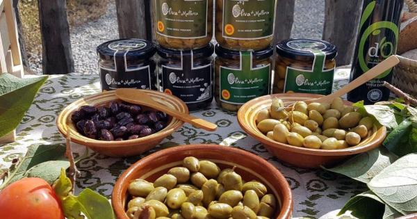 Olivenfest in Caimari