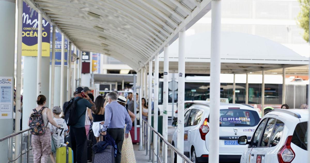 "Mallorca hat ein Taxi-Problem": Experten fordern Lösungen für 2023