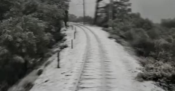 Sóller Zug mal anders: So bahnt sich der "Rote Blitz" seinen Weg durch ...