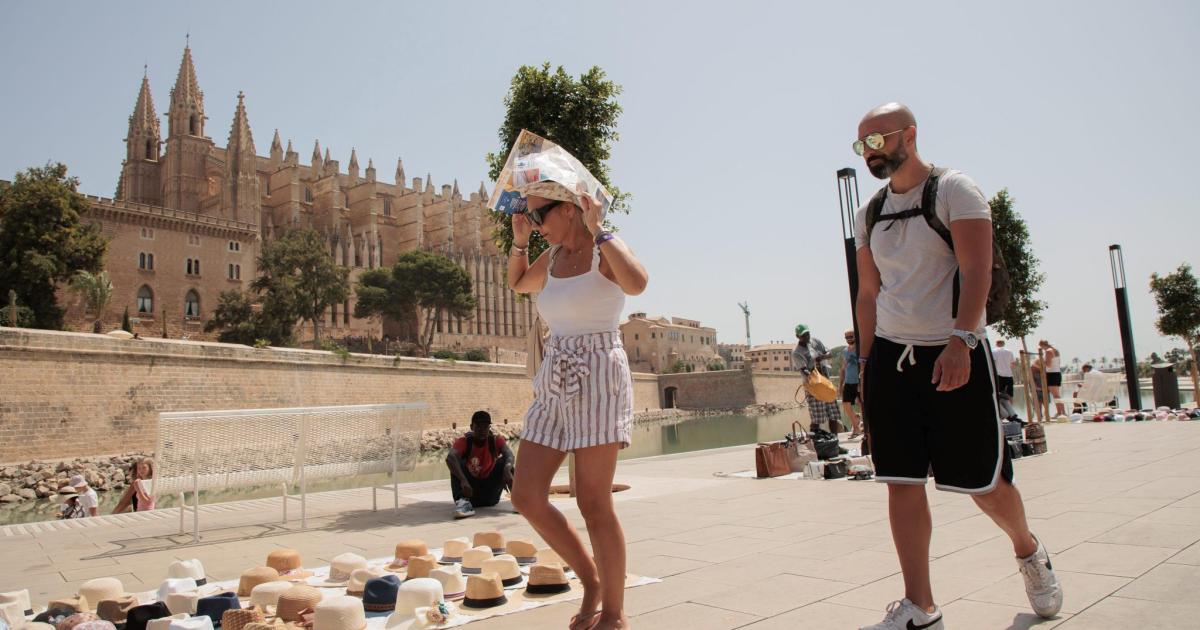 Fast 40 Grad erwartet: Schon wieder rollt eine Hitzewelle auf Mallorca zu