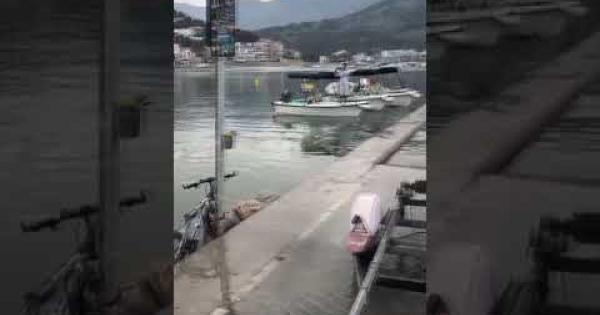 Mini-Tsunami überschwemmt Ort auf Mallorca