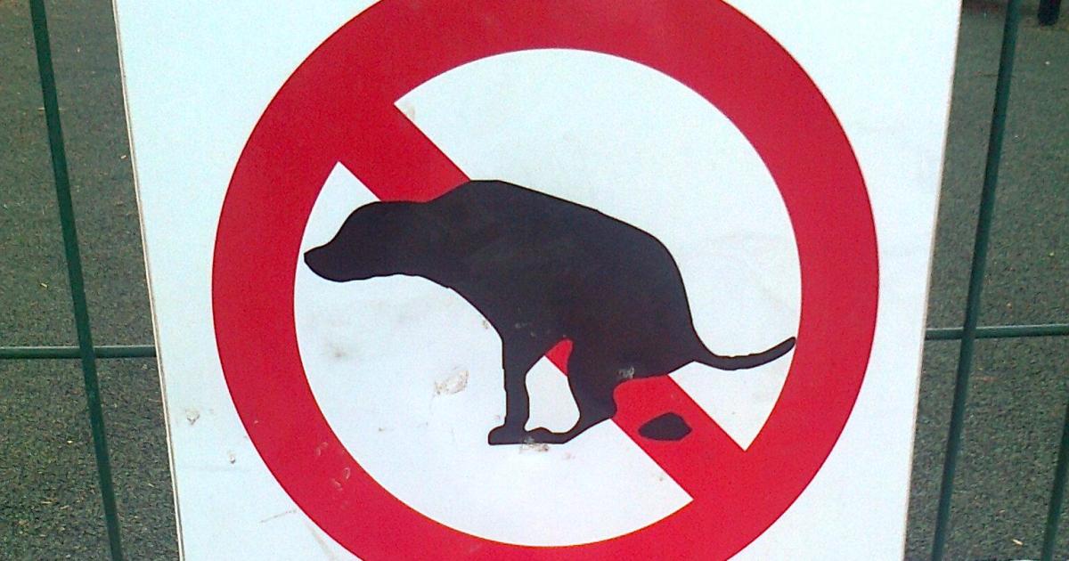 Wer in diesem Ort auf Mallorca Hundehaufen liegen lässt, muss jetzt ...