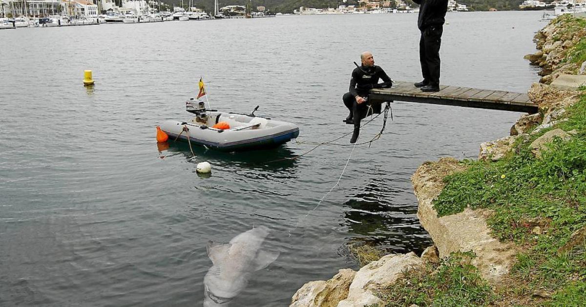 Zwei-Meter-Hai bei Menorca geborgen